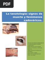 Putrefaccion y Fases | PDF | Descomposición | Especialidades Medicas