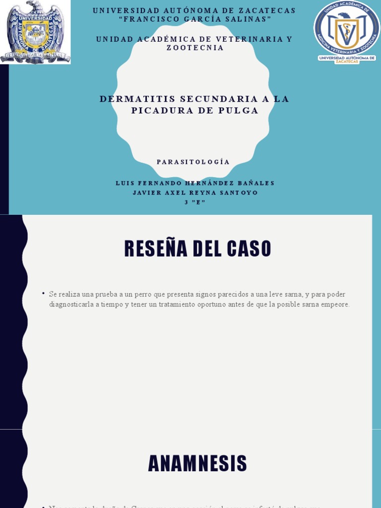 Dermatitis Casper | PDF | Alergia | Especialidades Medicas