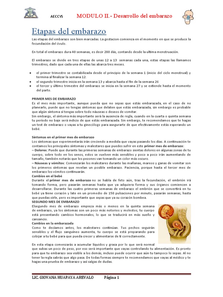 Etapas del Embarazo: Guía Mes a Mes | PDF | El embarazo | Parto
