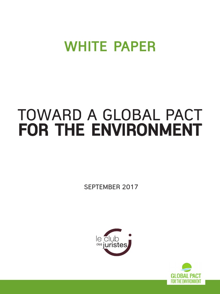 Pacto Mundial Por El Medio Ambiente White Paper | PDF | Environmental ...