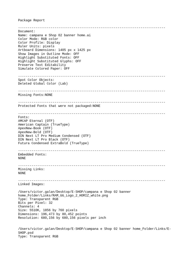 Campana e Shop 02 Banner Home Report | PDF