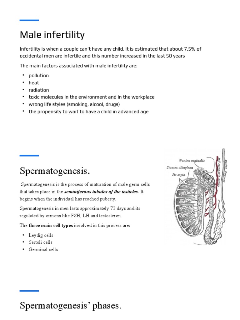 Male Infertility | PDF