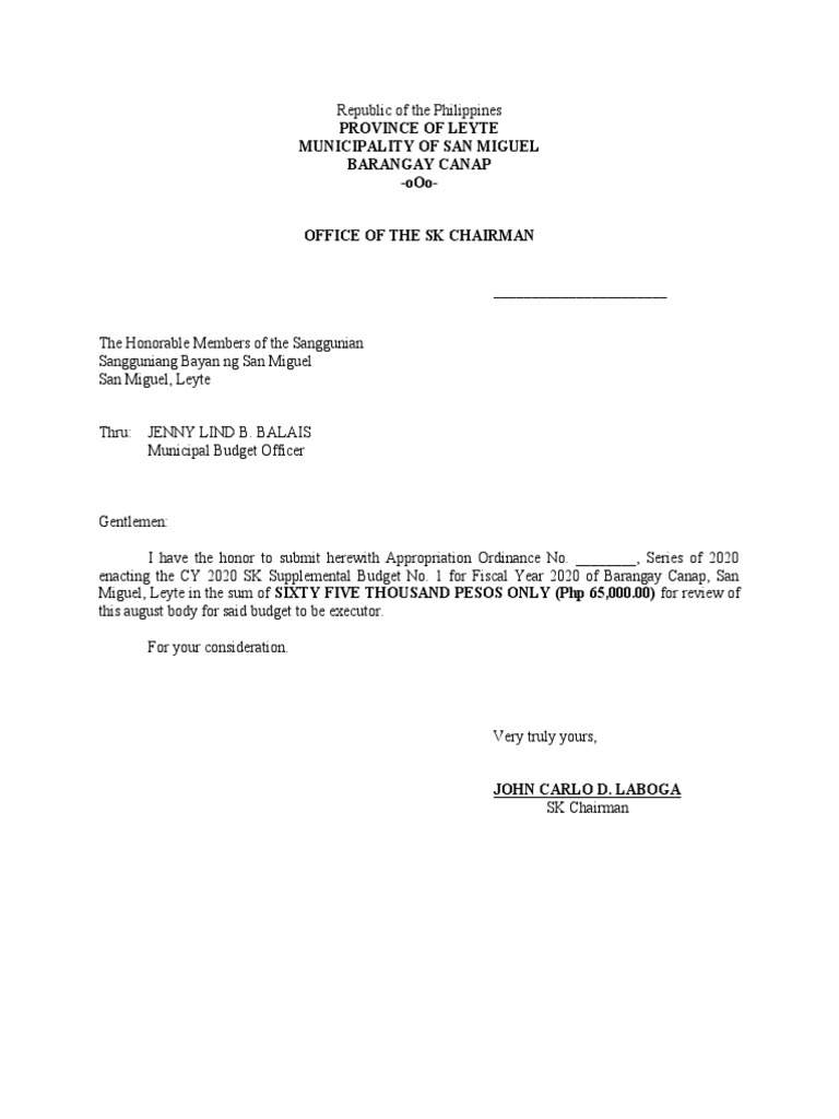 Brgy Budget Message PDF