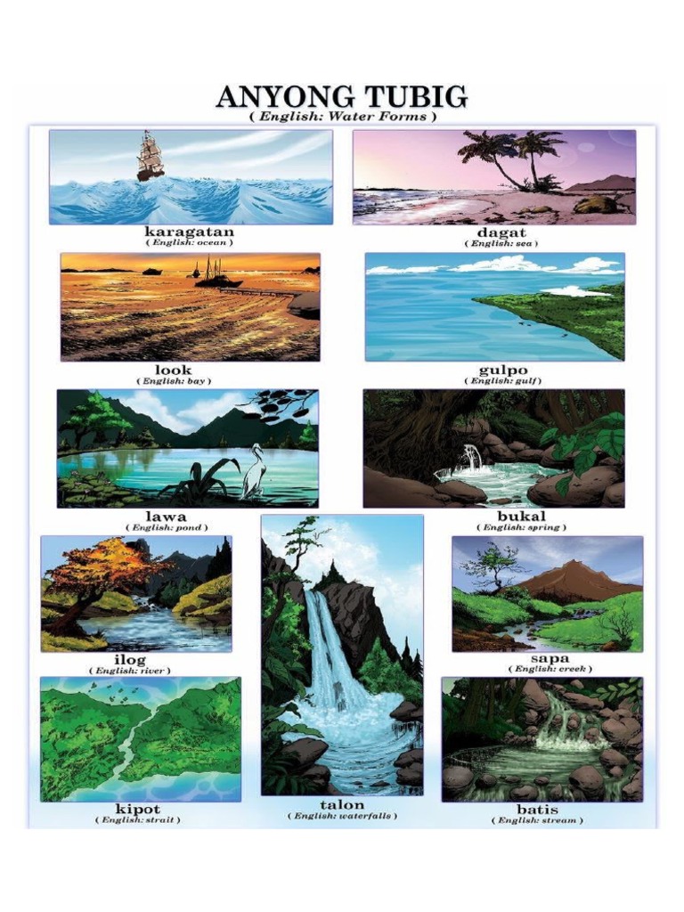 Andrei Project | PDF