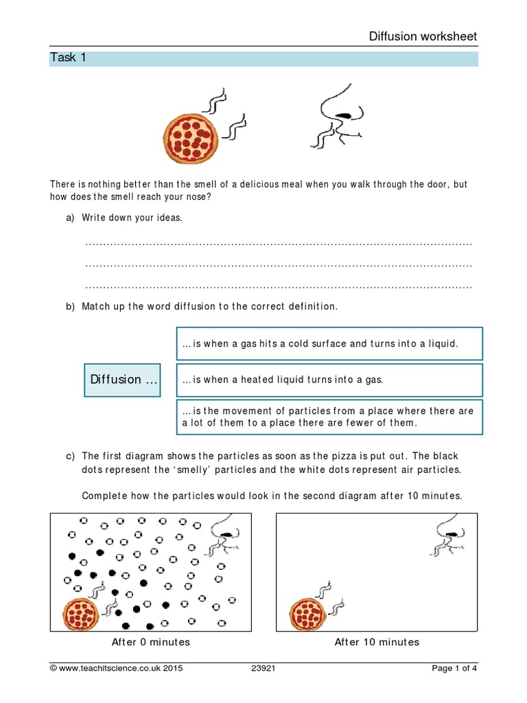 Diffusion Worksheet | PDF | Diffusion | Gases