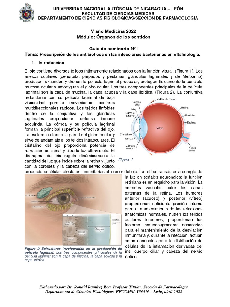 Guía #1 Sem V Med Infecciones Bacterianas Oftálmicas 2022 | PDF | Ojo humano | Ojo