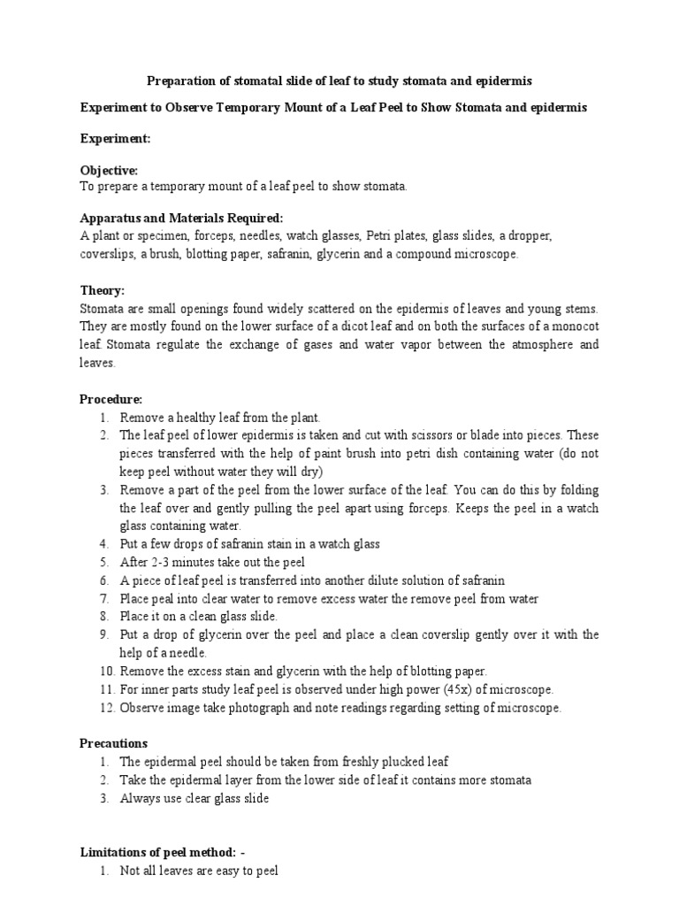 Stomatal Slide Preparation Guide | PDF | Leaf | Stoma