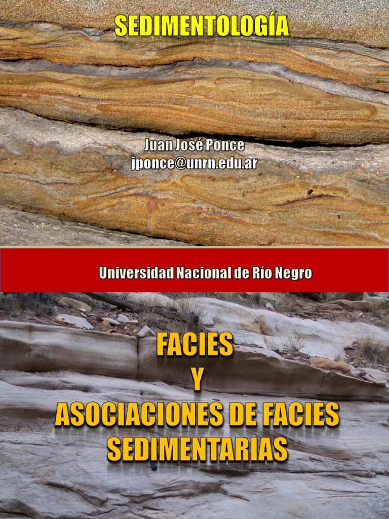 Facies y Asociaciones de Facies | PDF