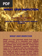 Field Inspection Techniques Ifad-Casp | PDF | Sowing | Agriculture
