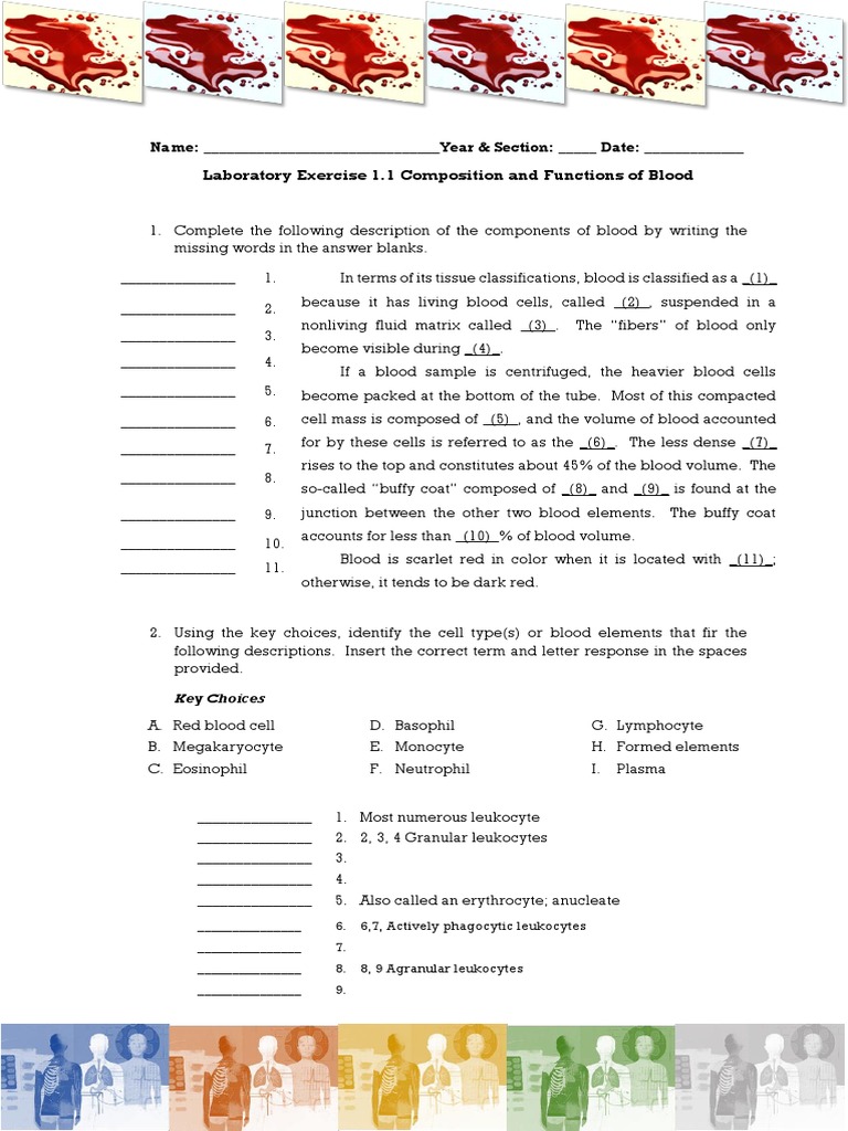 Erythropoietin and Blood Composition | PDF | White Blood Cell | Blood Type