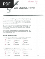 Reproductive System Chapter 16 Key Answer | PDF