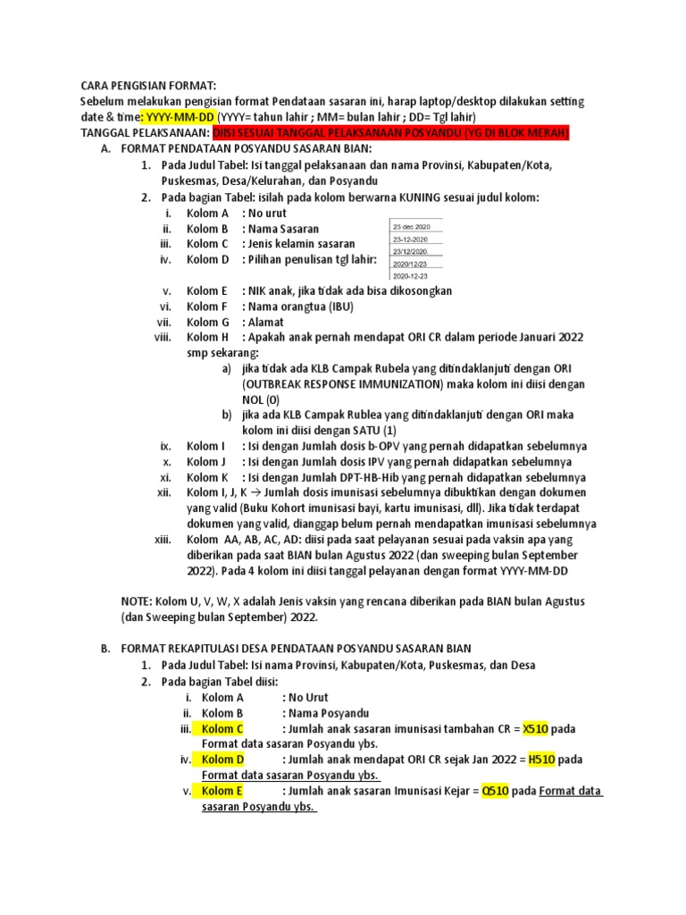 Cara Pengisian Format Data Sasaran & Rekapitulasi 31052022 | PDF