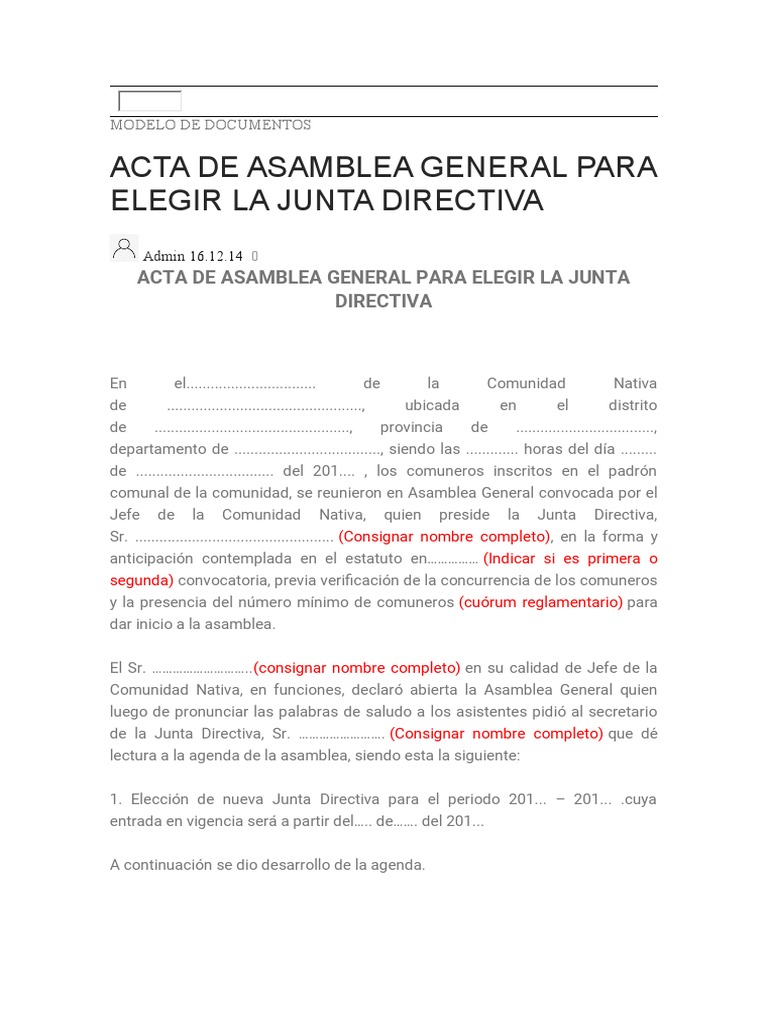 Acta de Nombramiento de | PDF | Votación | Gobierno