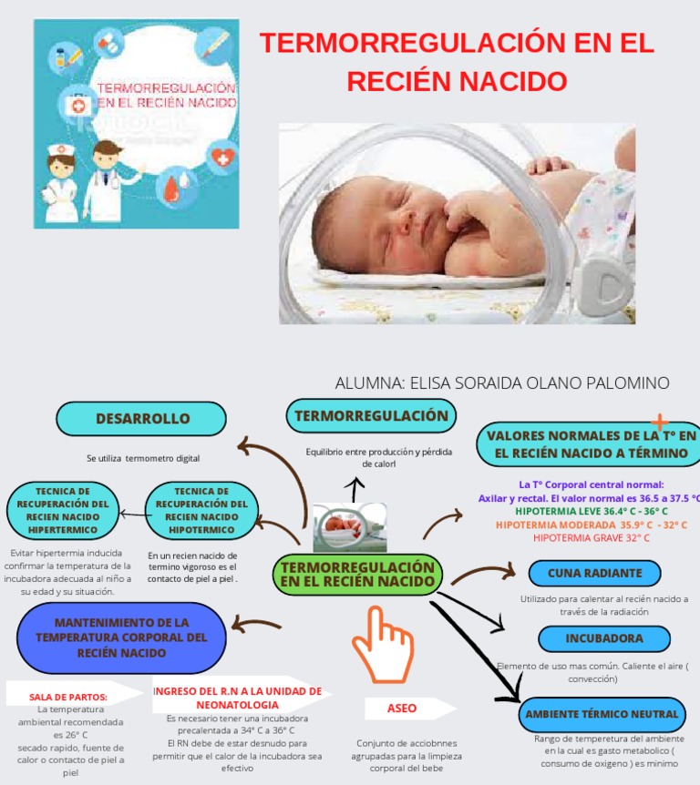 Termorregulación en el Recién Nacido | PDF | Termorregulación | Unidad ...