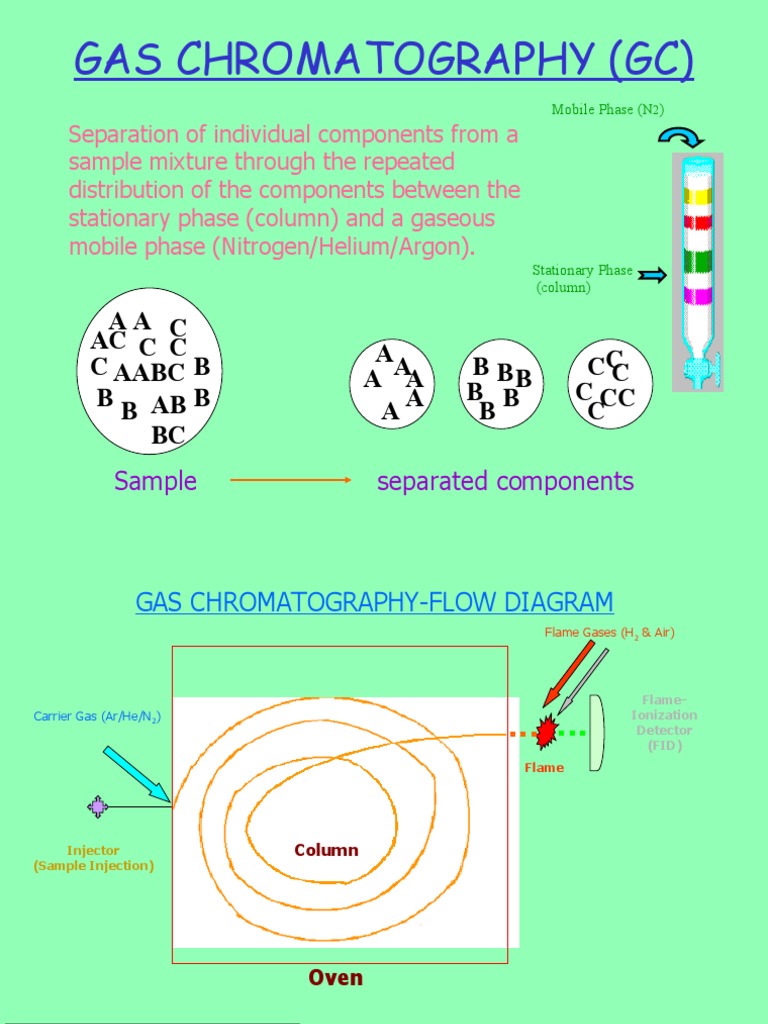 Gas Chromatography Basics | PDF | Gas Chromatography | Chromatography