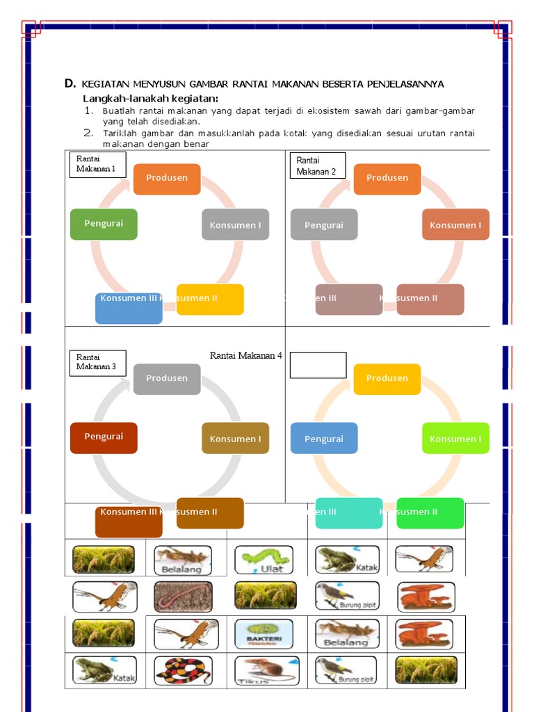 Rantai Makanan Ekosistem Sawah | PDF