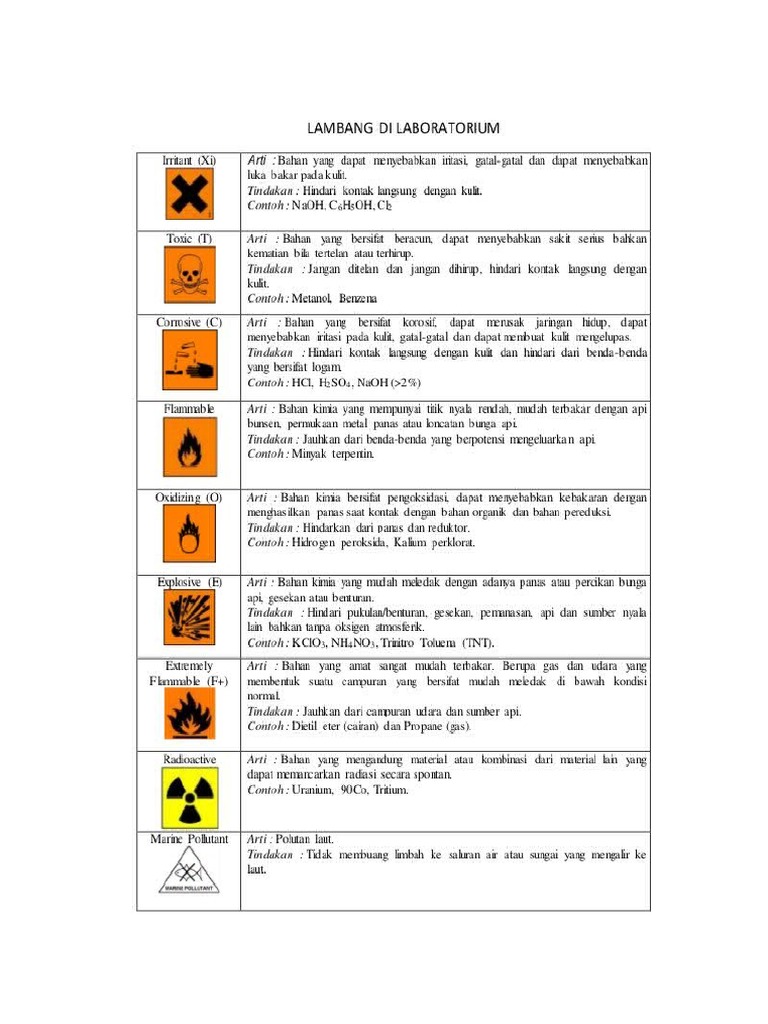Tugas IPA Laboratorium Wisnu Simbol | PDF