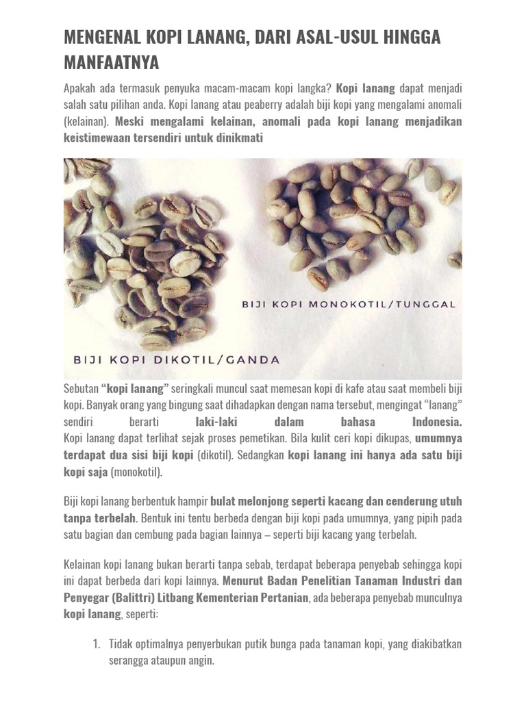 Manfaat Kopi Lanang Baru | PDF