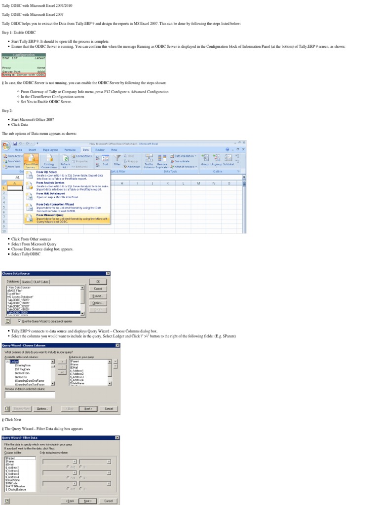 Tally ODBC Excel Integration Guide | PDF
