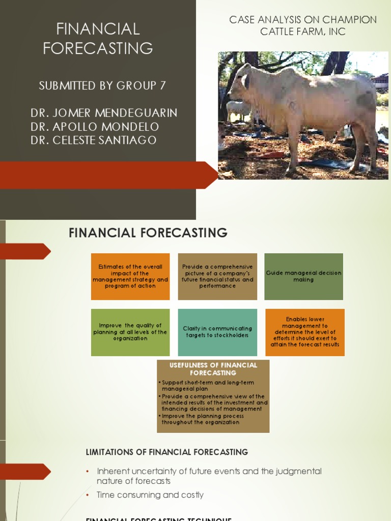 Champion Cattle Farm (Mendeguarin Mondelo Santiago) | PDF | Forecasting ...