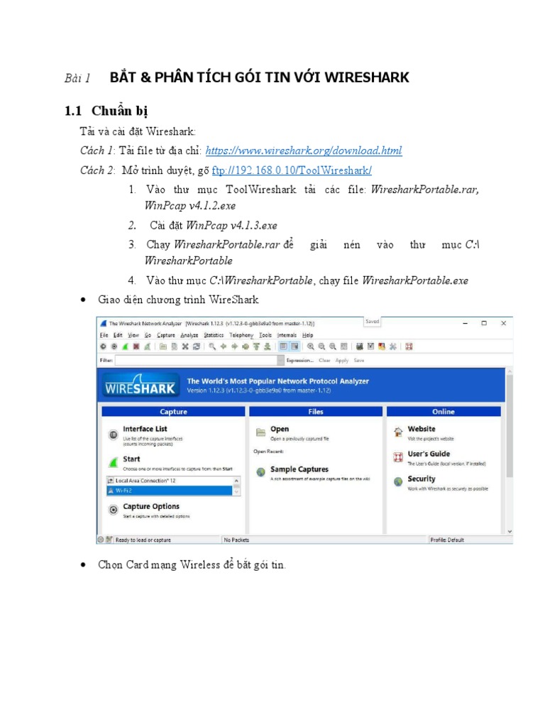 Lab2-Su Dung Wireshark de Bat Va Phan Tich Goi Tin | PDF