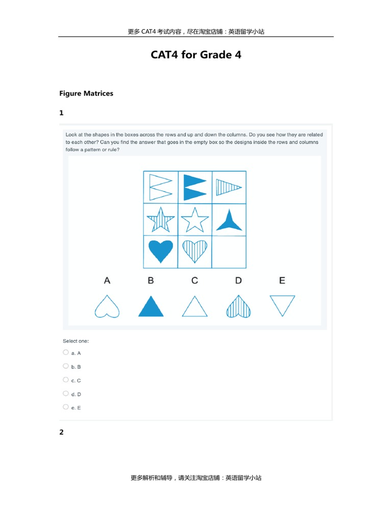 CAT4 For G4-05-Figure Matrices | PDF