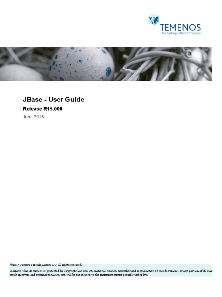 J BASE | PDF | Information Technology Management | Computing