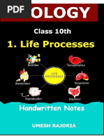 Class 10 Life Process Mind Map and Notes | PDF | Social Science ...