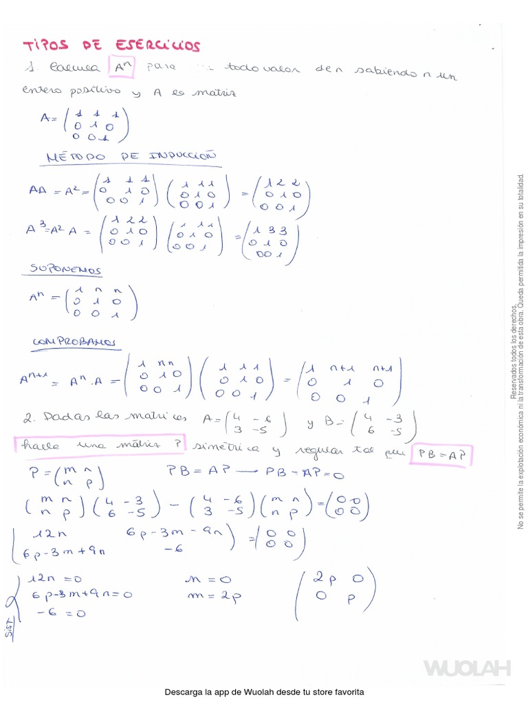 Ejercicios Selectividad Matrices | PDF