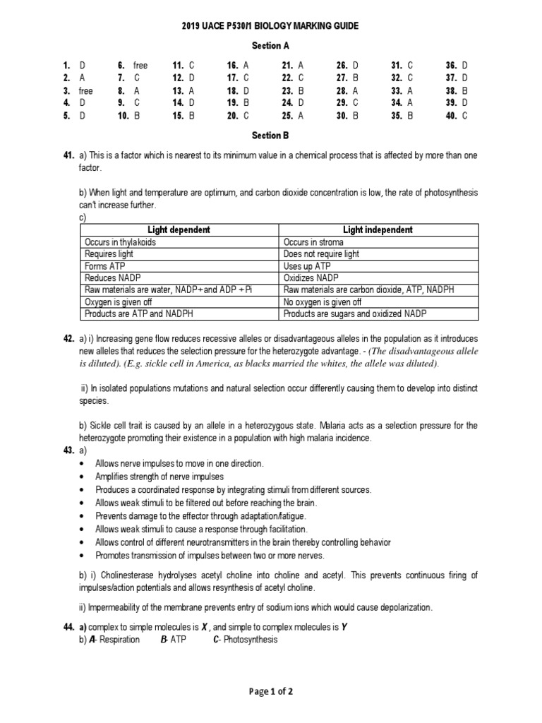 2019 UACE PAPER 1 BIOLOGY MARKING GUIDE | PDF | Photosynthesis | Adenosine Triphosphate