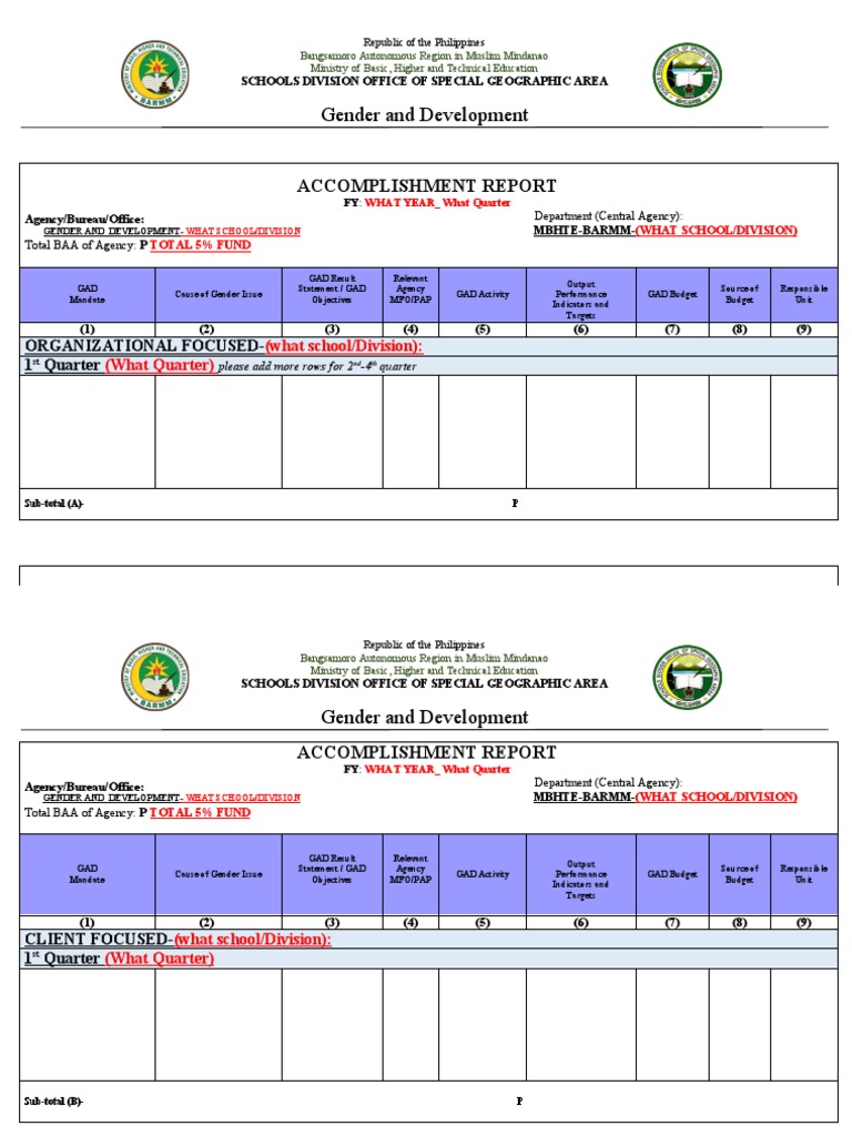 Accomplishment Report Blank | PDF