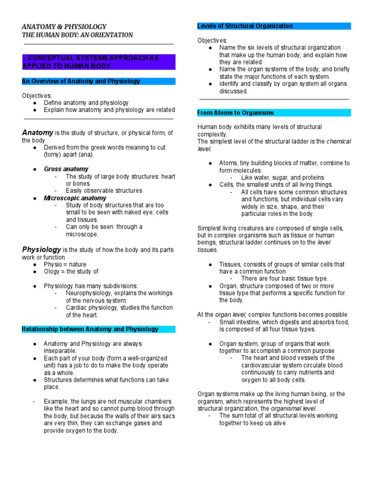 Anatomy & Physiology: Levels of Structural Organization | PDF | Human ...