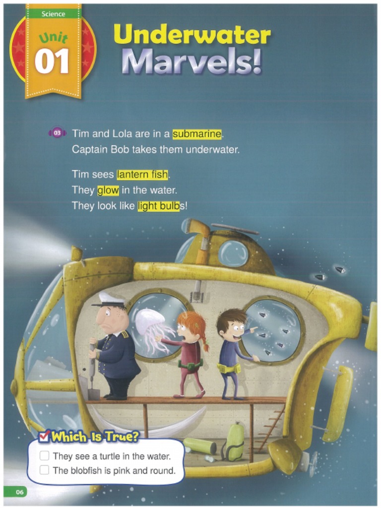 Bricks Reading 80 - 1 | PDF