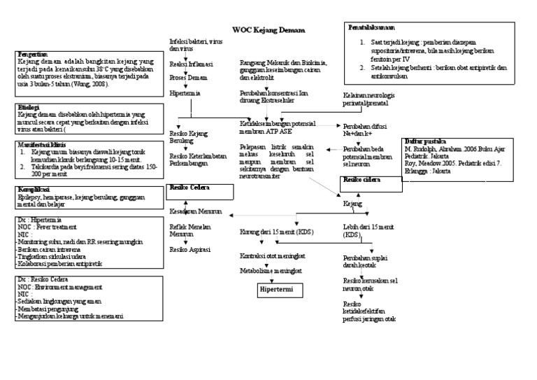 WOC Kejang Demam | PDF