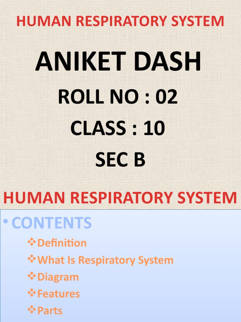 Human Respiratory System Aniket Das | PDF | Lung | Respiratory Tract