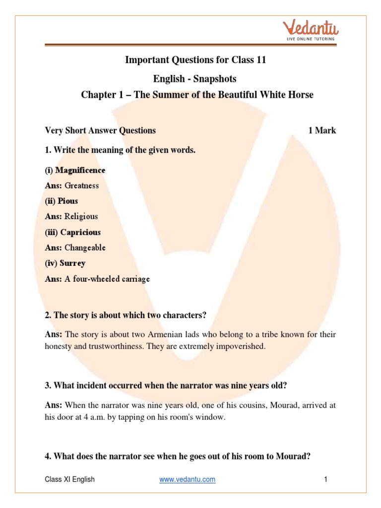 CBSE Class 11 English Important Questions On Snapshots | PDF