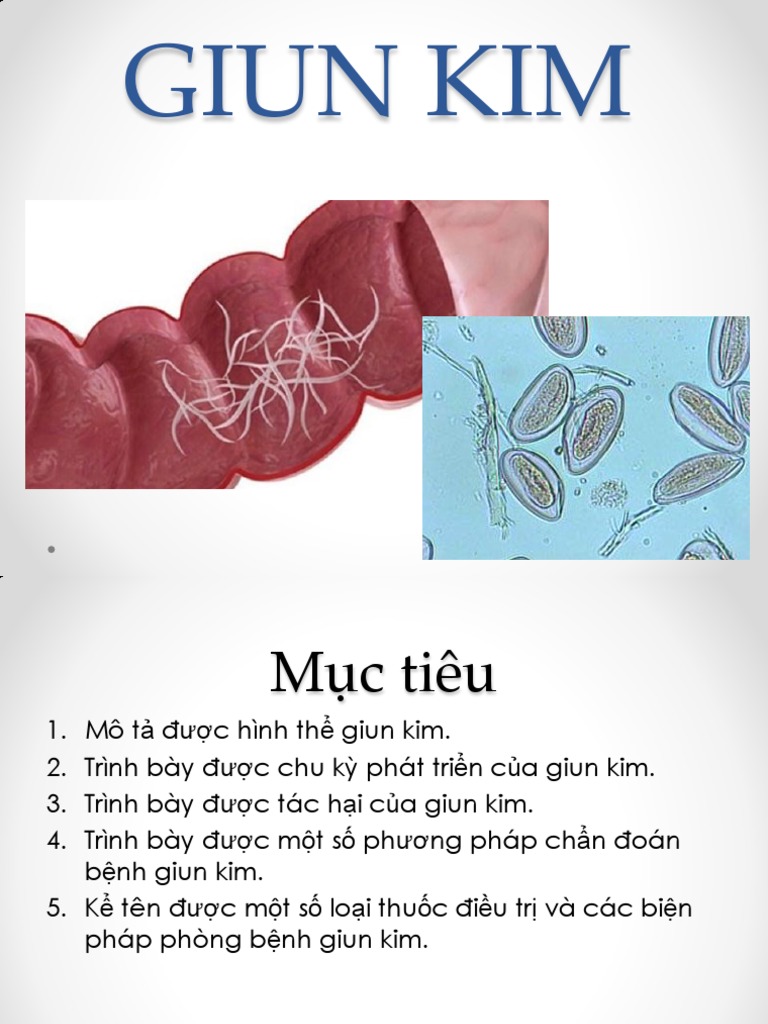 GIUN KIM- | PDF