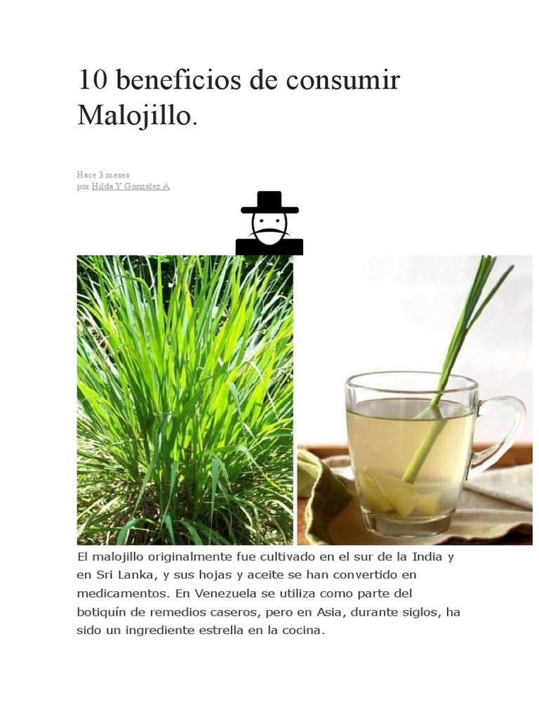 10 Beneficios de Consumir Malojillo | PDF | Medicina CLINICA ...