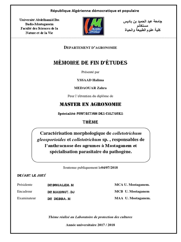 Memoire Final 2018 | PDF | Agrumes | Citron