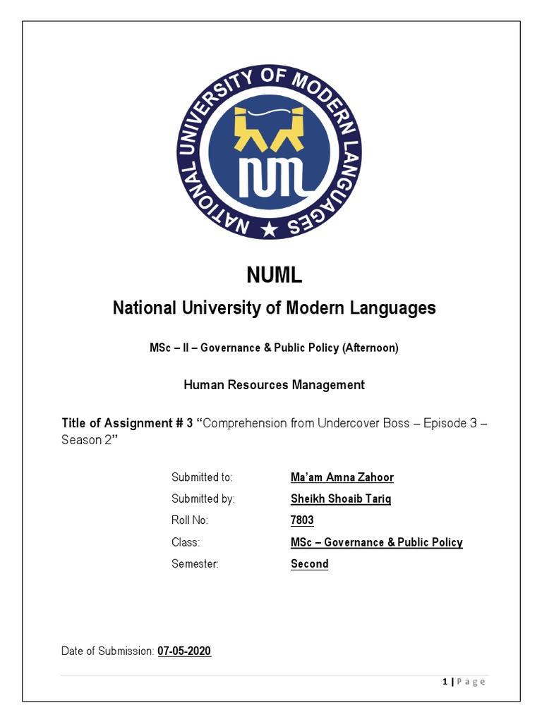 Shoaib Sheikh HRM - 3 (Undercover Boss) | Download Free PDF | Employment | Labour Economics