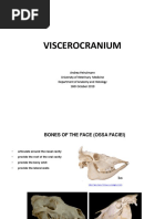 Triadan Tooth Numbering Guide | PDF