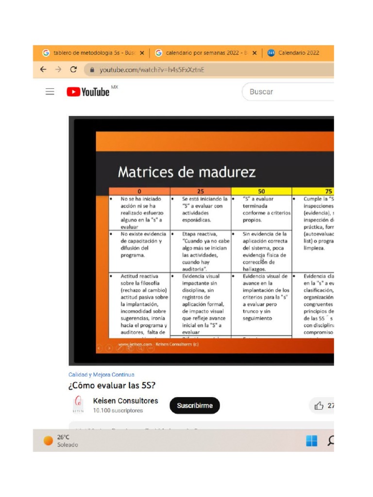 Matriz de Madurez | PDF