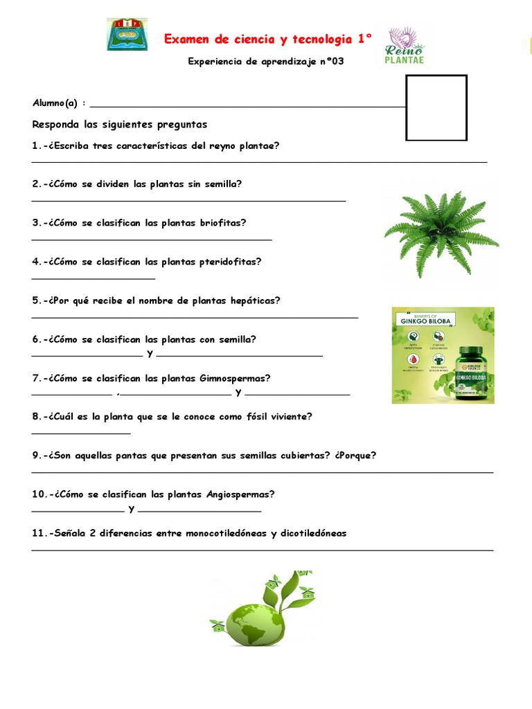 Examen de Ciencia y Tecnologia 1° - Eda N°3 | PDF