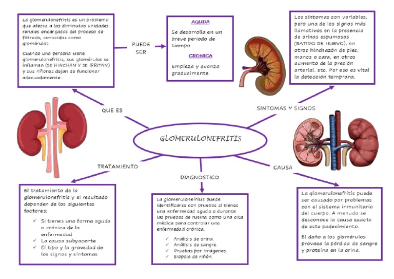 GLOMERULONEFRITIS | PDF