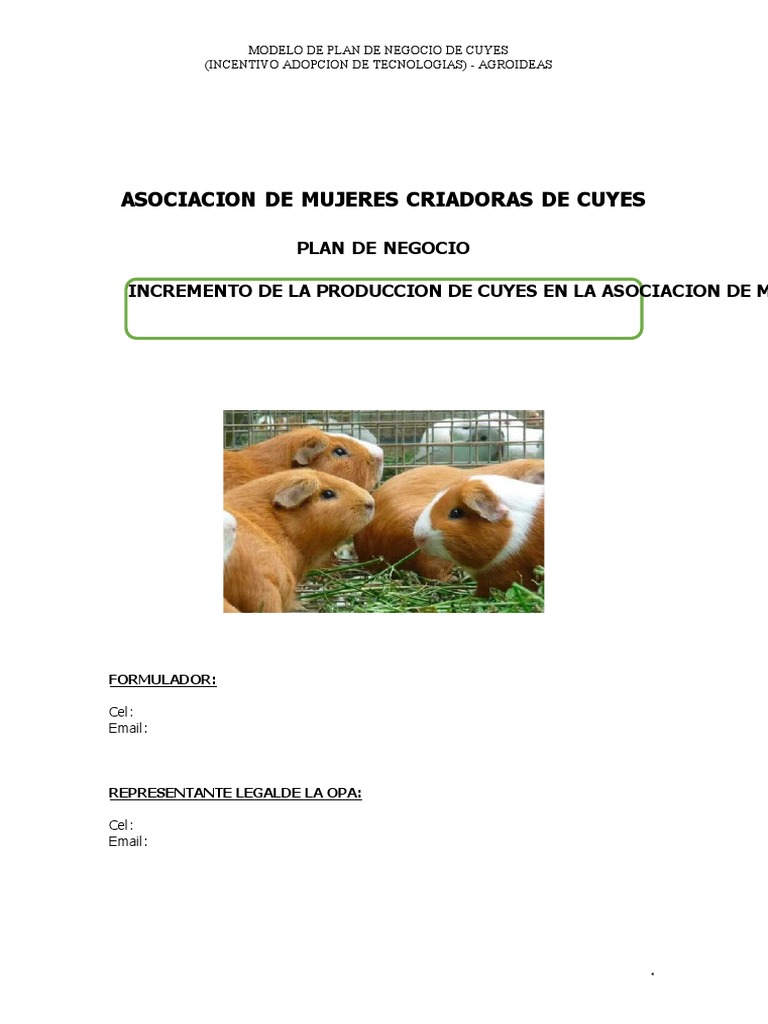 Modelo PNT Cuyes | PDF | Presupuesto | Pobreza