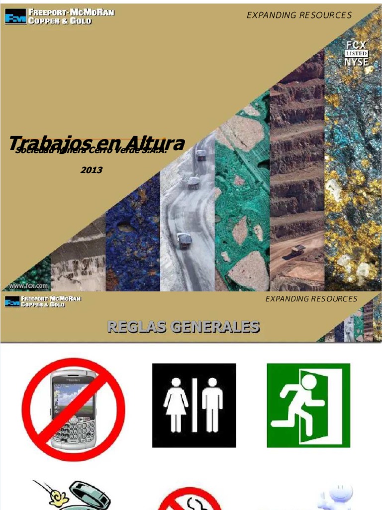 PDF Trabajos en Altura Sociedad Minera Cerro Verde Saa 2013 PDF ...