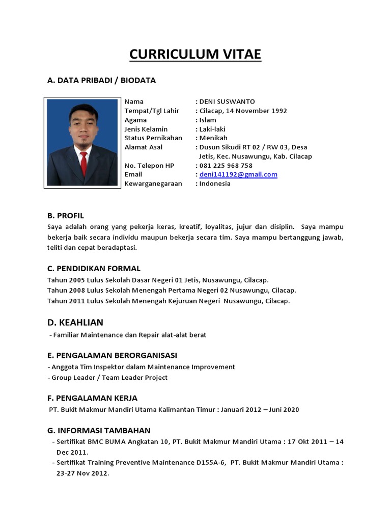Deni CURRICULUM VITAE | PDF