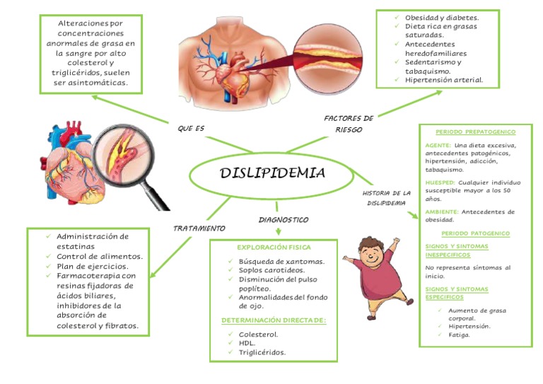 DISLIPIDEMIA | PDF | Endocrino | Enfermedades y trastornos humanos