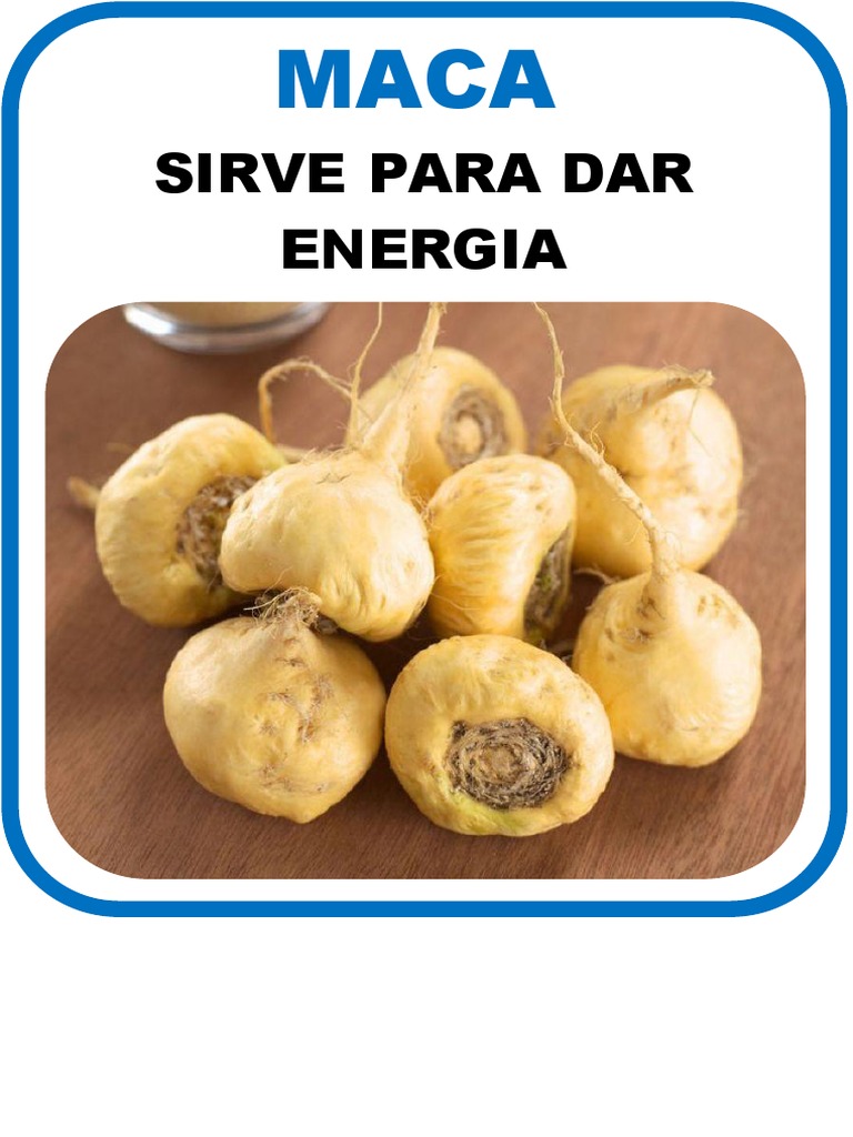 Maca | PDF Maca | PDF