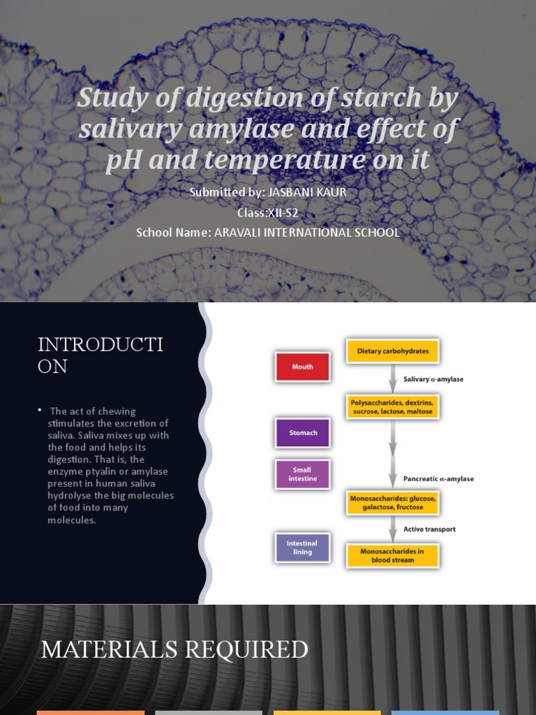 Presentation 11 | PDF | Saliva | Chemistry
